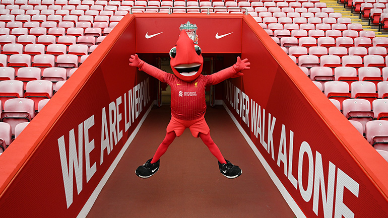 Liverpool Stadium Tours System | Public - Offers